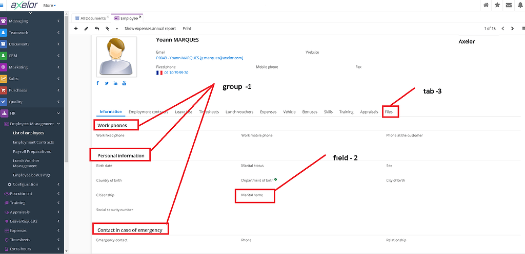 How i can add special fields ( customisation forms) - English Forum - Axelor Forum